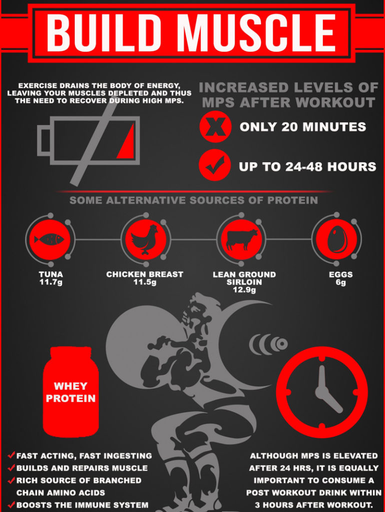 Infographic On How To Build Muscle | MuscleHack by Mark McManus